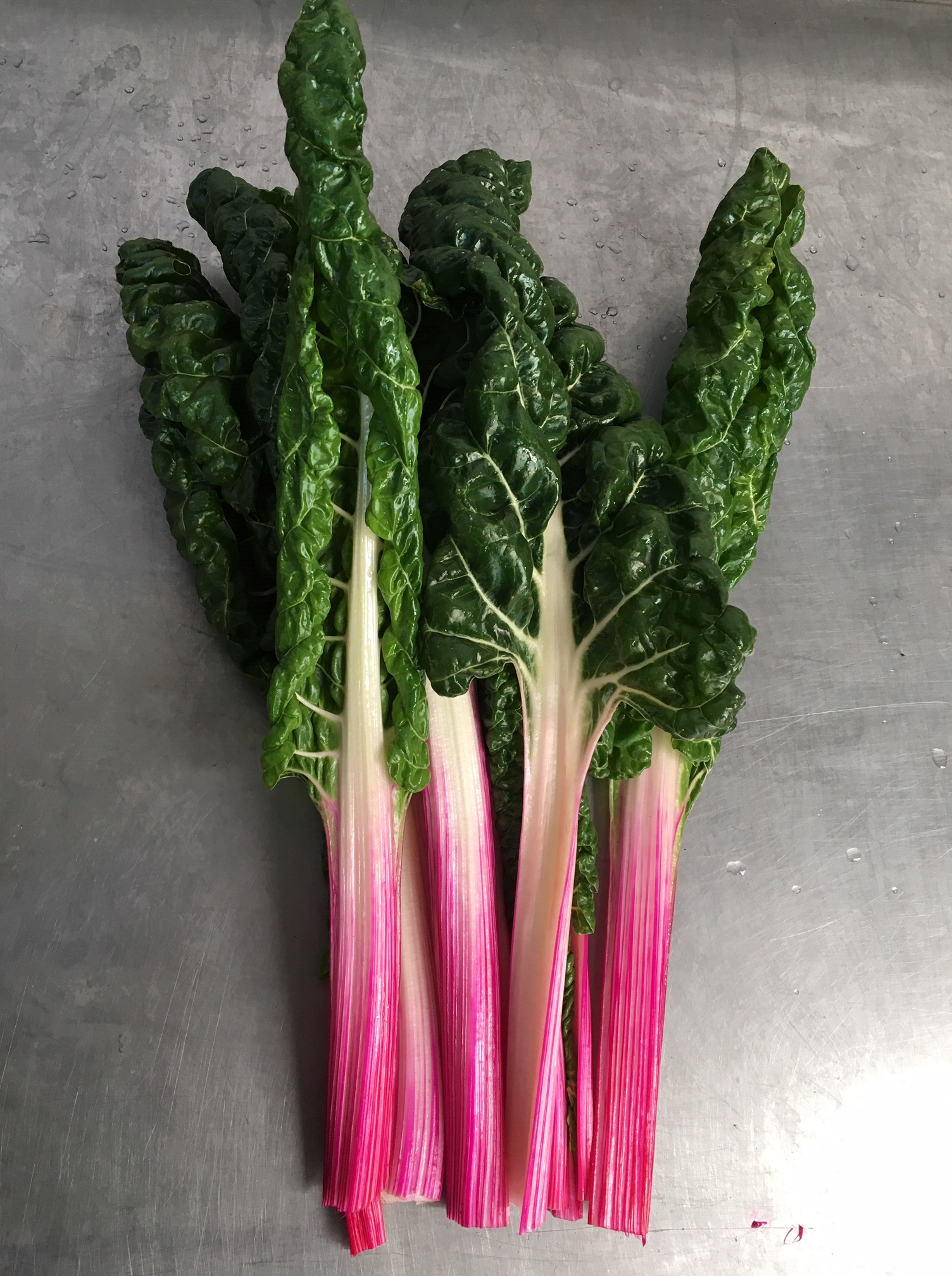 ChardMolyneux Kale Company